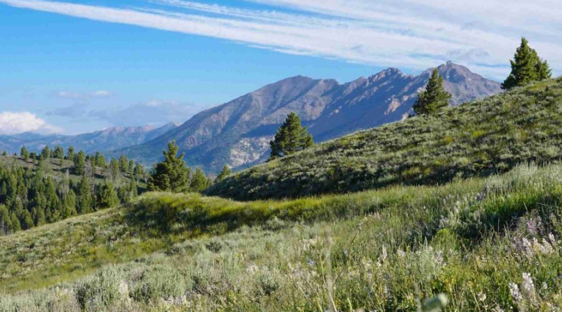 Senate lawmakers introduce bipartisan legislation to support public lands counties | National ...